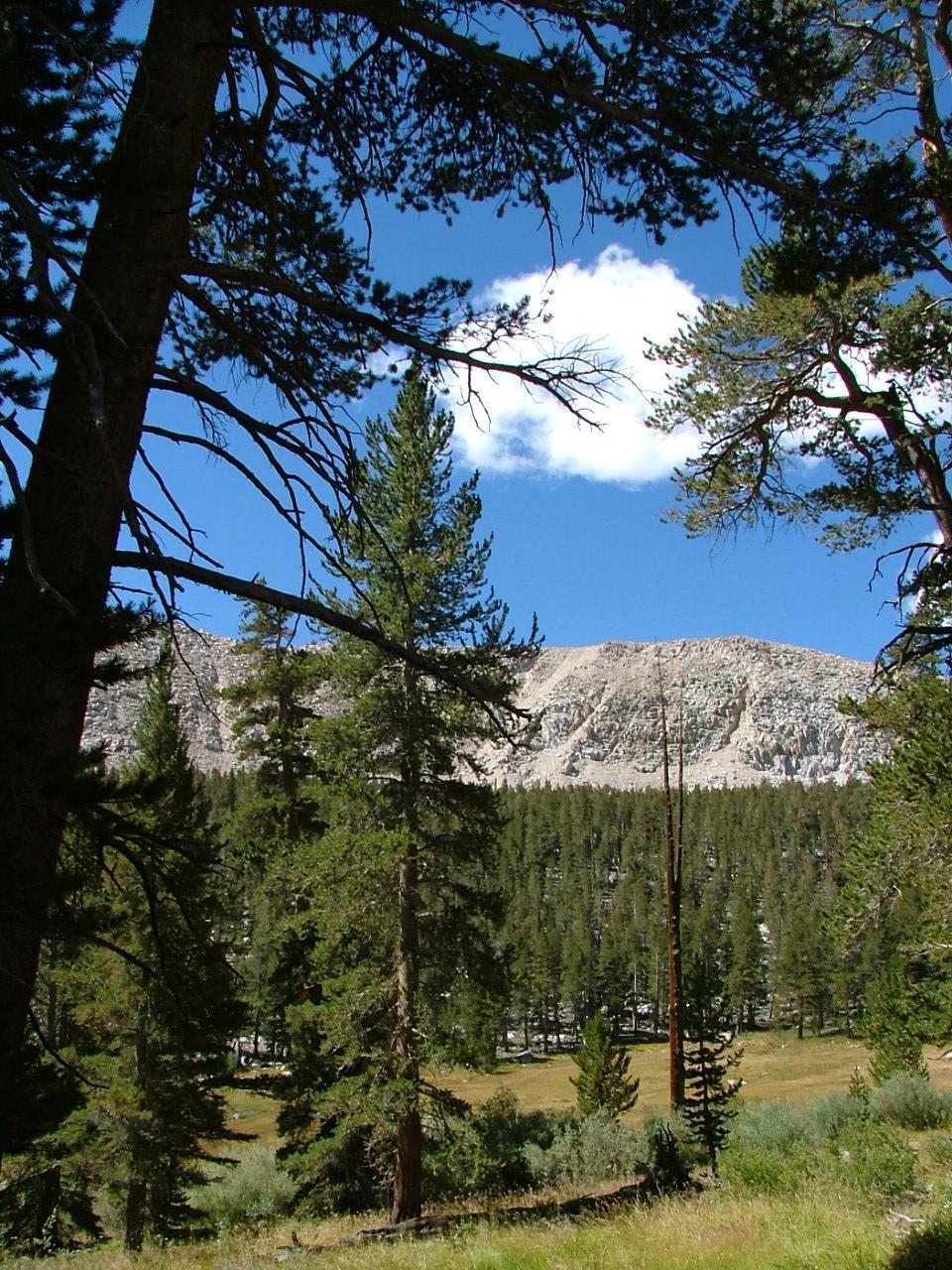 The Things I Missed • Ruby Ryder - Pegging Paradise